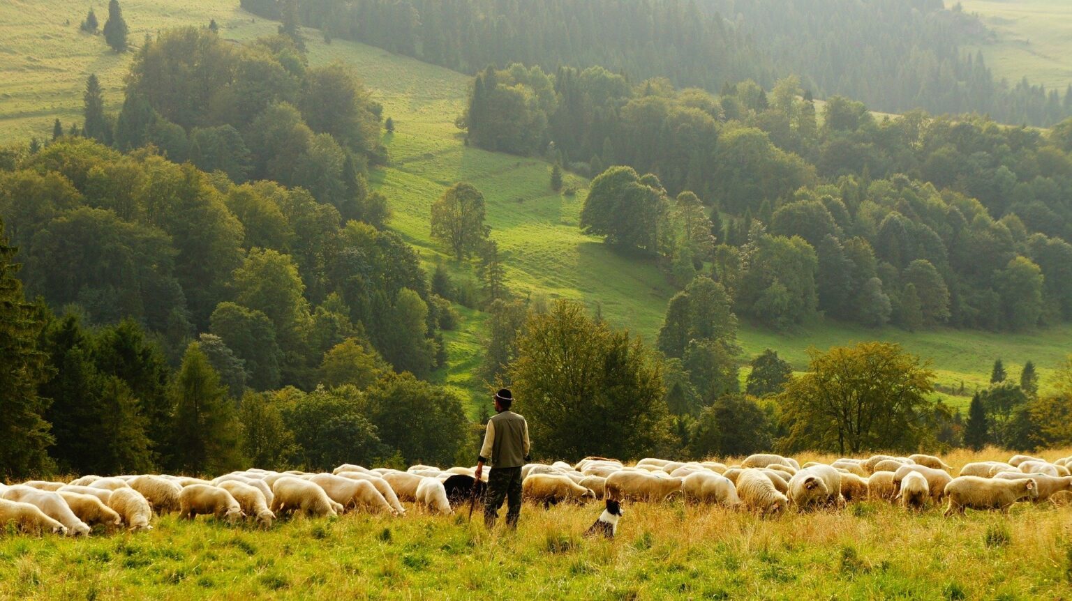 The Farmer's Bride, Charlotte Mew Poem Analysis/Annotations - GCSE ...